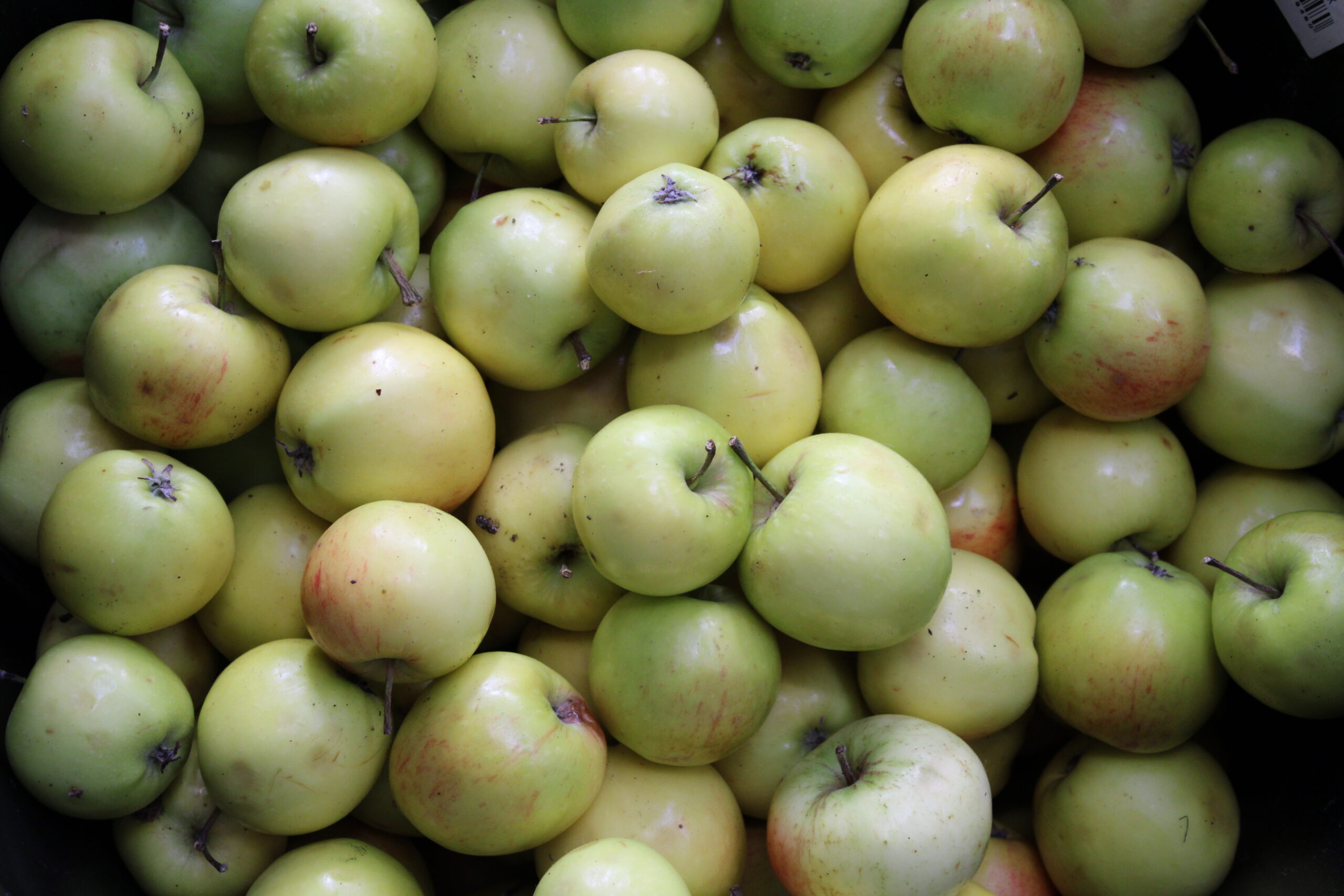 October Market Weekend - Bowhouse