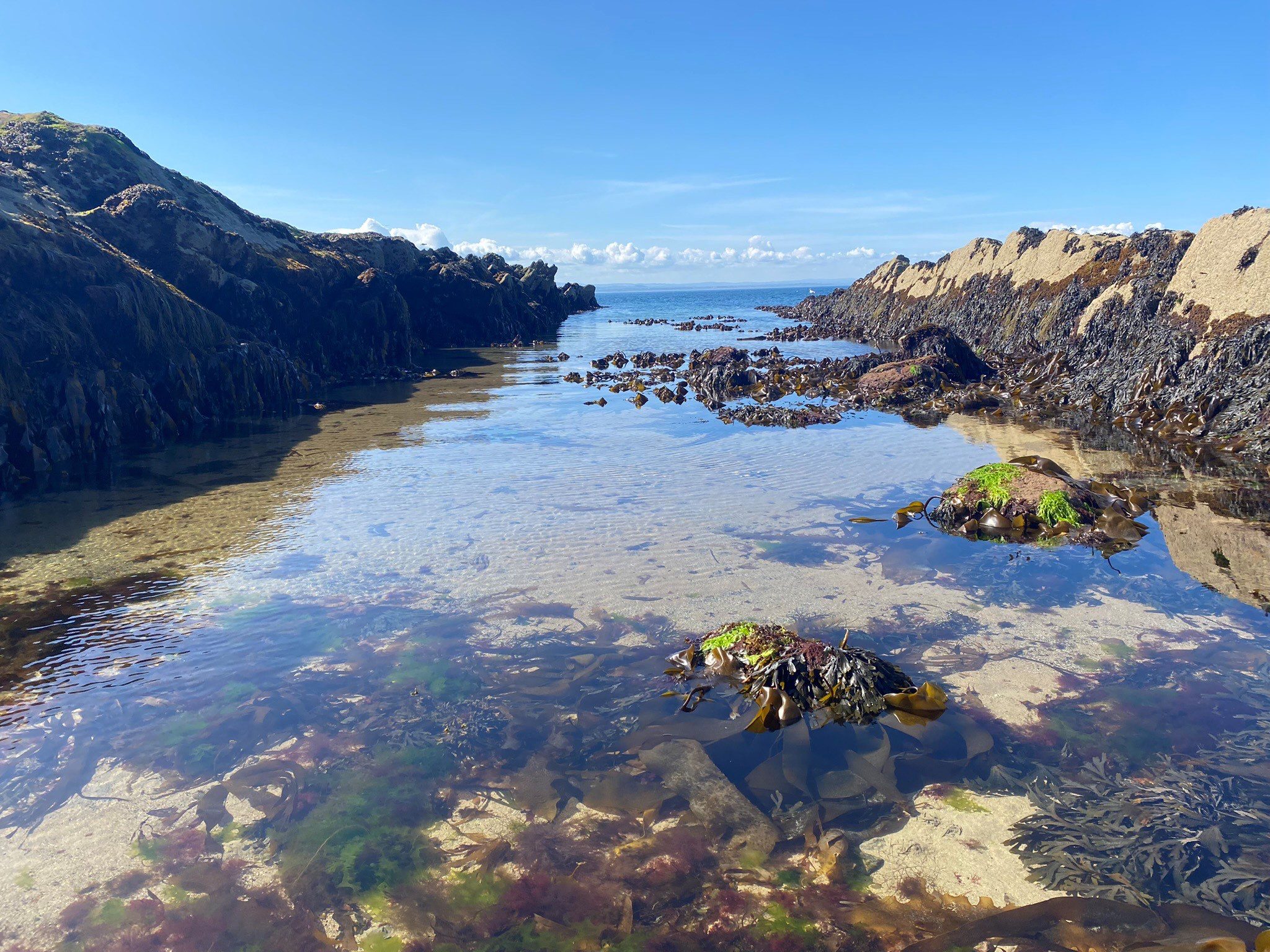 Foraging & Fortitude: Men's Ocean Training - Bowhouse